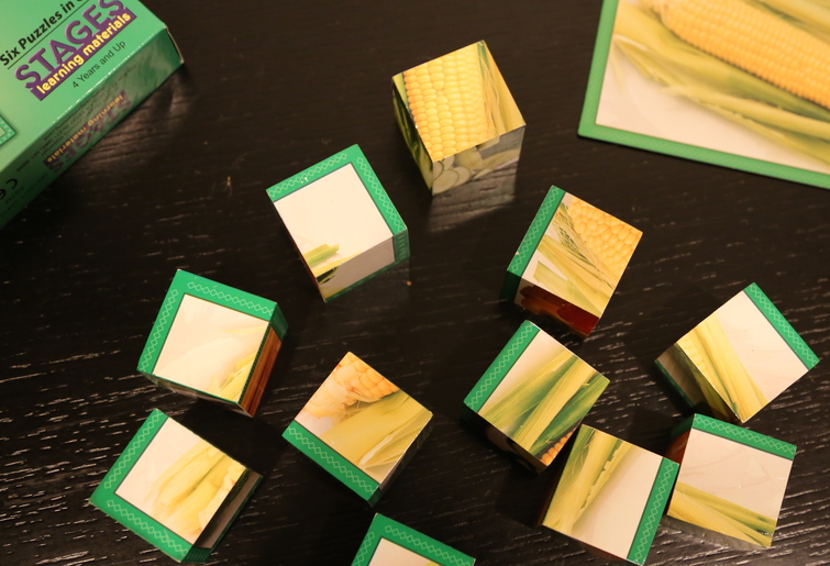 "I Need Help" Lesson Plan