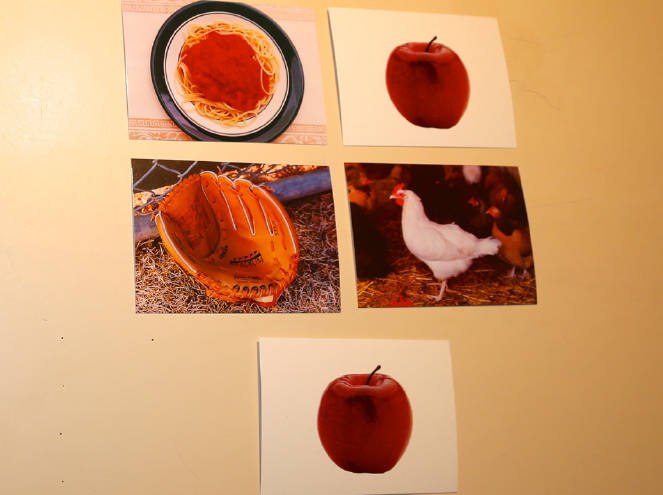 Identical Matching Lesson Plan