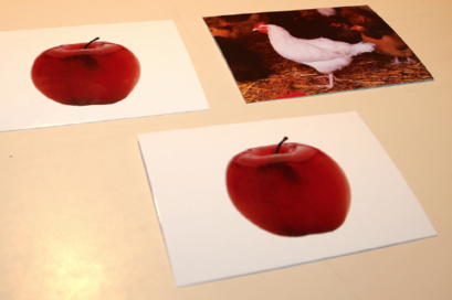 Identical Matching Lesson Plan