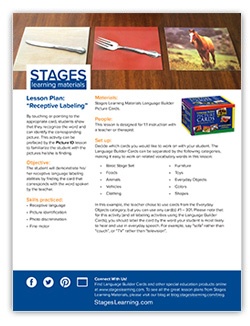 Receptive Labeling Lesson Plan