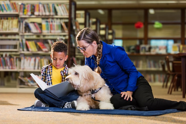 Service Dogs and Therapy Dogs for Autistic Children